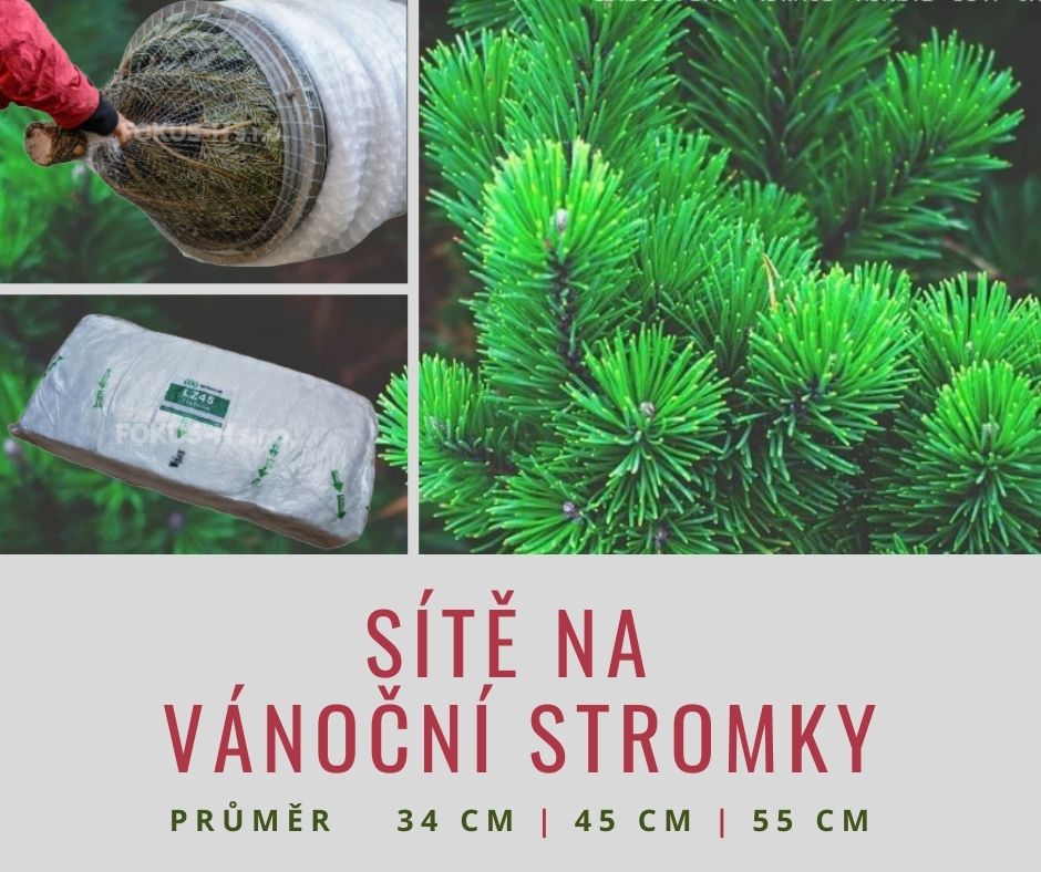 Jak vybrat kvalitní síťě na vánoční stromky? - FOKUS-H s.r.o.